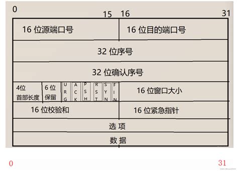Ensp的使用 网络通讯模型ensp Tcp模型实验 Csdn博客
