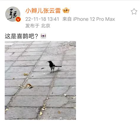 183想起你的小瞬间——张云雷（人生真味） 知乎