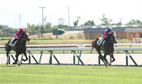 ＜中京1r・2歳未勝利＞後続を突き放し勝利するメイショウツヨキ（右）＝撮影・亀井 直樹 ― スポニチ Sponichi Annex ギャンブル