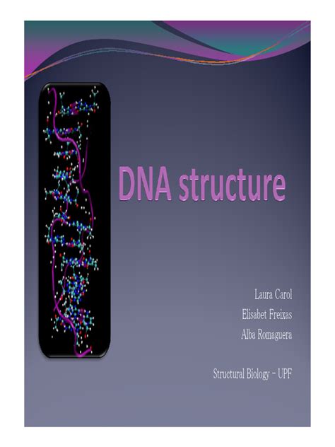 Dna Structure Pdf Dna Nucleotides