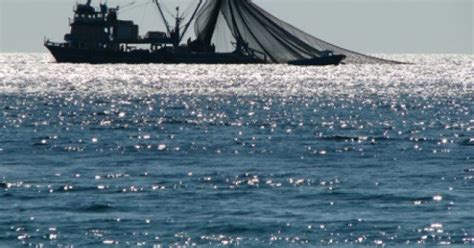 Importancia De La Pesca Artesanal