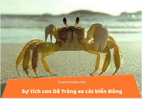 S T Ch Con D Tr Ng Xe C T Bi N Ng