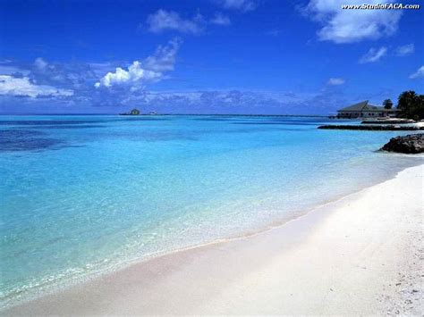 Narava 1024x768 37 Ozadja