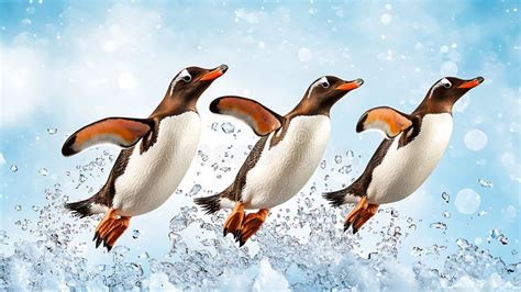 Playful Penguins Sliding In Water Stock Illustration Illustration Of Habitat Penguin 354464317