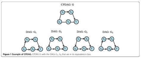 Question About Complete Partially Directed Acyclic Graph Computer