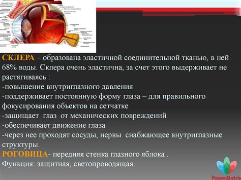 Профилактика глазных заболеваний и реабилитация Online Presentation