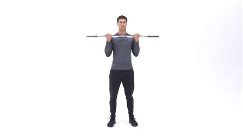 Ez Bar Curl Exercise