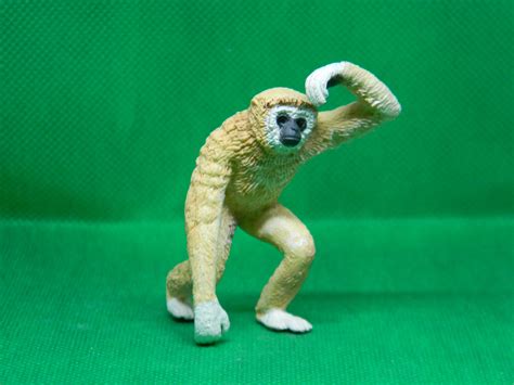 Models Primates Jurassic James