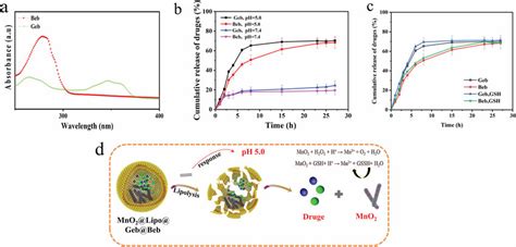 A Uv Vis Absorption Spectroscopy Of Geb And Beb B Drug Release