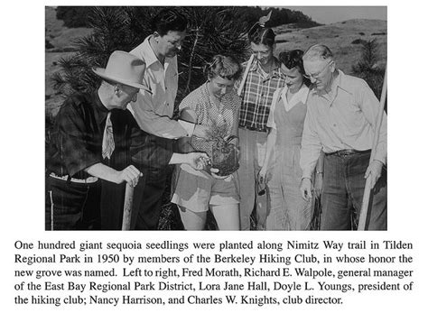 Sequioa Planting Trees To Plant Historical Photos Plants