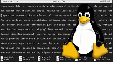Using Nano On A Linux System Computer Coding Linux Linux Operating System