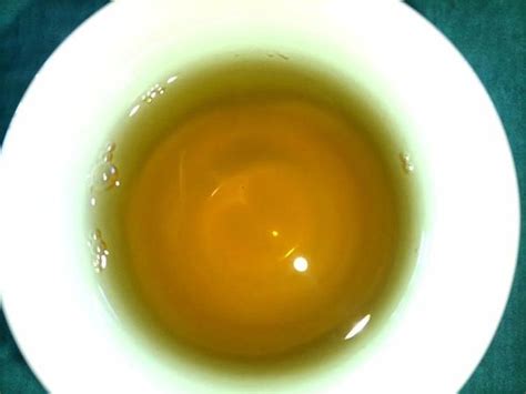 品鉴迷帝古树茶 知乎