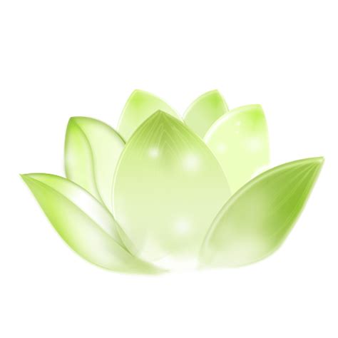 Png素材 透明素材 Png图片 绿色 水果 鲜花 植物 干净 栀子 花 树叶 绿叶 叶子 芦荟 健康 摄影 高清 素材 草丛 香菇 茶叶 菜