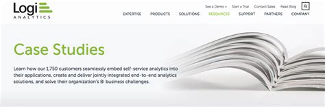 Logi Analytics Reston Tech Wiz WordPress Experts Agency