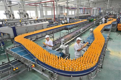 Development Prospect Of Fruit Juice Production Line