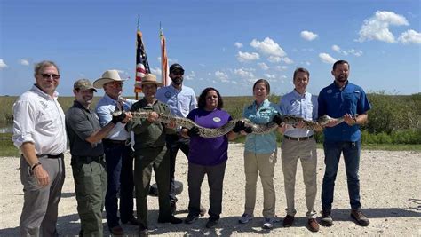 Florida Python Challenge Kicks Off With 25 000 In Prizes