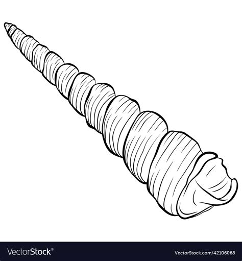 Spiral Seashell Drawing