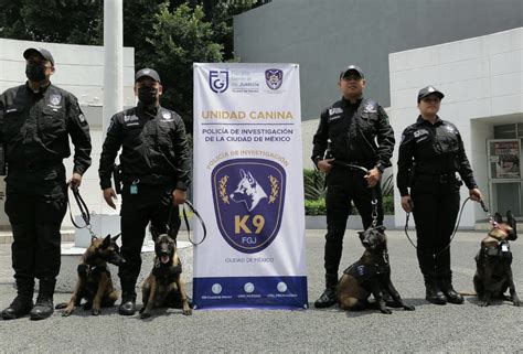 Ellos son Sherlock Kaiser Jack y Kai los nuevos perritos que se unen a la policía de la CDMX