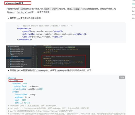 Bug Inconsistent Of Register Center Access · Issue 876 · Apache