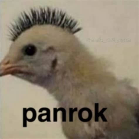 Punk Rock Meme By Ninio Anti Agua Memedroid