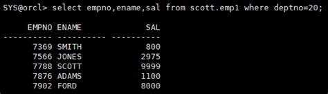 数据库审计audit chchcharlie 博客园
