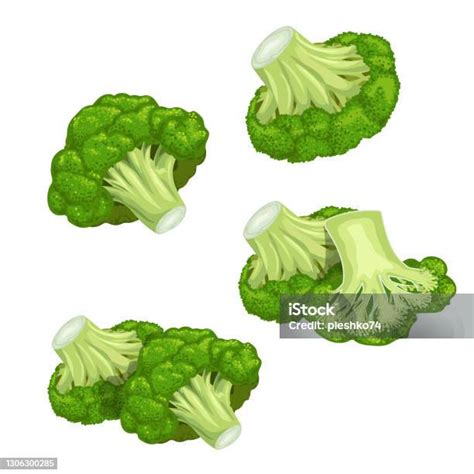 브로콜리 세트 단일 및 그룹 전체 및 절단 신선한 에코와 건강한 채소 컬렉션을 농사 흰색으로 격리된 벡터 그림입니다 브로콜리에 대한 스톡 벡터 아트 및 기타 이미지 Istock