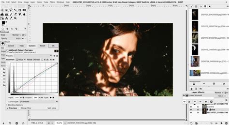 Open Source Image Editor Gimp Makes Comeback After Seven Years