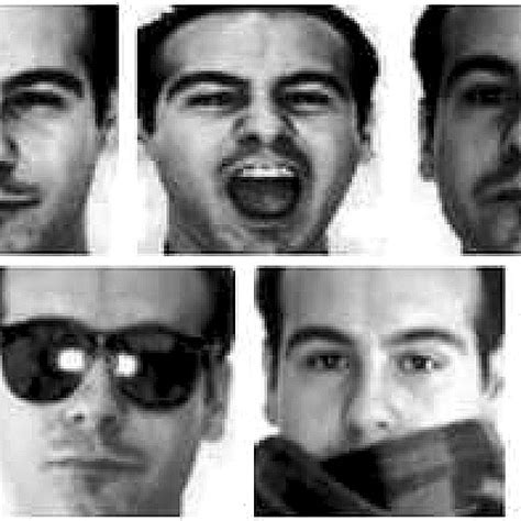 A Sample From The Ar Database With High Intra Class Variation