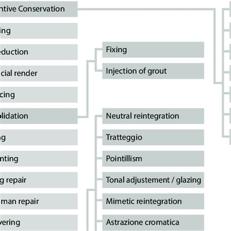 Tree Diagram Of The Hierarchical Structure Of The Conservation And Download Scientific Diagram