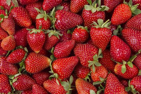 Йод Как помага за богата реколта от ягоди