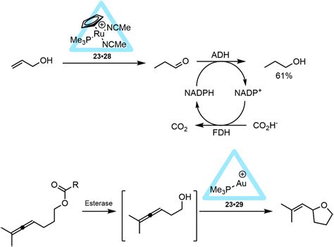 Transition Metal Catalysis In Confined Spaces Chemical Society