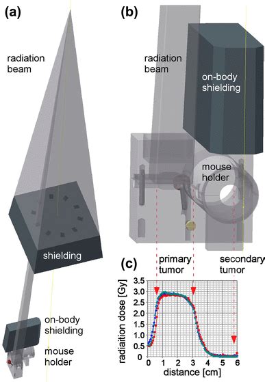 Fractionated Radiation Shielding And Film Dosimetry Radiation Beam Download Scientific
