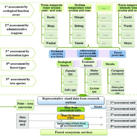 Grain For Green Project Areas By Restoration Methods And Forest Types
