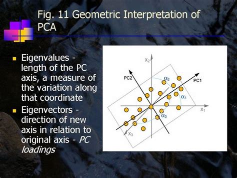 Renr501jeff Multivariate Analysis