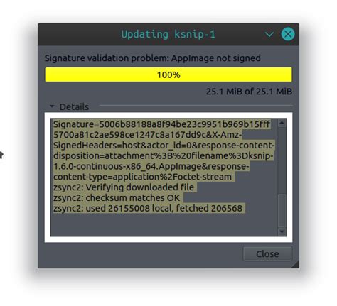 AppImage Update Fails With None Of The Artifacts Matched The Pattern