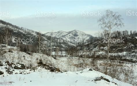 흐린 겨울 하늘 아래 눈으로 덮인 그림 같은 계곡의 산의 바위 경사면에있는 외로운 자작 나무 0명에 대한 스톡 사진 및 기타