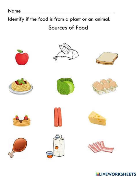Sources Of Food Worksheet Online Food Healthy And Unhealthy Food