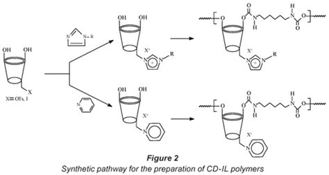 Cyclodextrin Ionic Liquid Polyurethanes For Application In Drinking Water Treatment