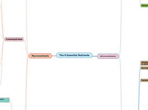 The 6 Essential Nutrients Mindomo Mind Map