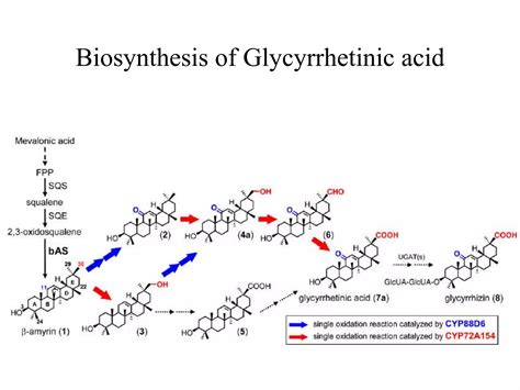 Biosyntheticpathways Ppt