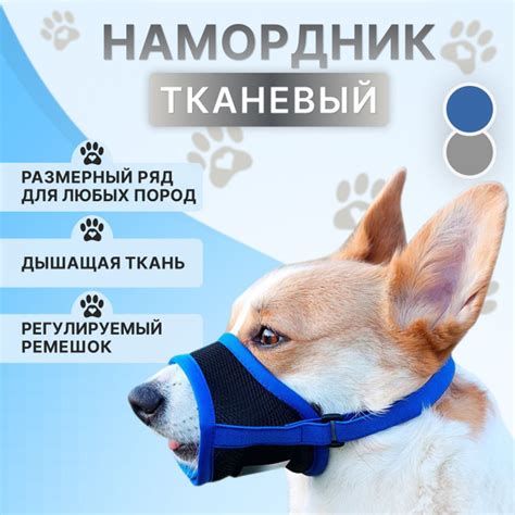 Намордник для собак тканевый для любых пород - купить с доставкой по ...