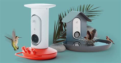 Bird Buddy S Latest Feeder Cam Uses Ai To Capture Close Up Bird Photos