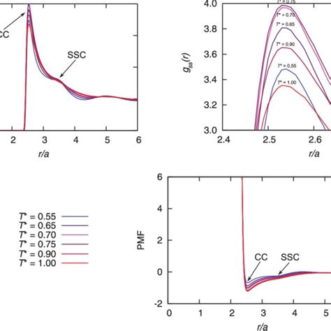 A And B Solute Solute Pair Correlation Function G Ss R For Download Scientific Diagram