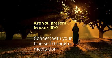 The Life Force Institute Connect With Your True Self Through Meditation