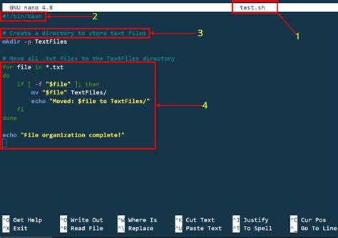 What Is A Bash Script And How To Write It In Linux Beebom