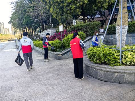 花地街：组织开展“人人爱绿植绿护绿兴绿”主题党日活动（组图） 广州市荔湾区人民政府门户网站