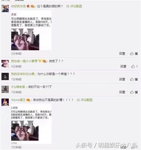 王思聰愛犬疑似跑丟，要懸賞100萬尋找王可可 每日頭條