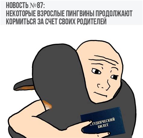 пингвины приколы про студентов студенческие шутки и юмор видео
