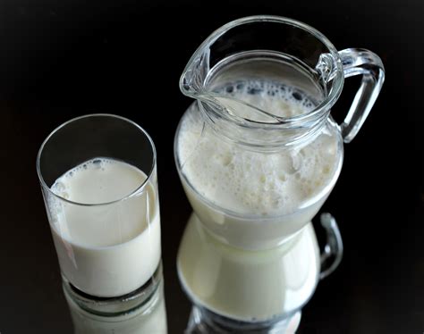 무료 이미지 식품 생기게 하다 음주 아침 식사 우유 건강한 낙농 제품 가려워하는 호르 카타 맛 영양가있는