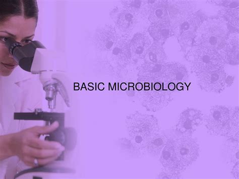 Ppt Basic Microbiology Powerpoint Presentation Free Download Id 3384614